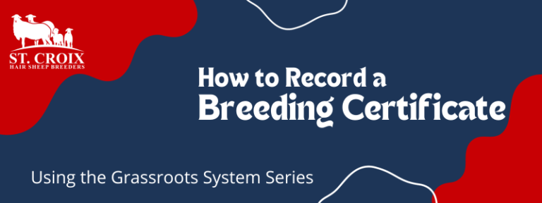 How to Record a Breeding Certificate - St. Croix Hair Sheep Breeders